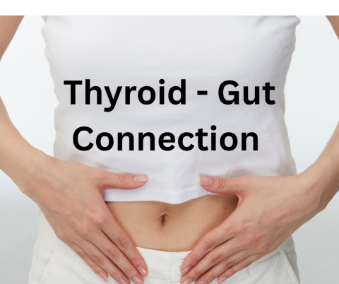 The Hidden Thyroid–Gut Connection: Why Low Thyroid Can Cause ...